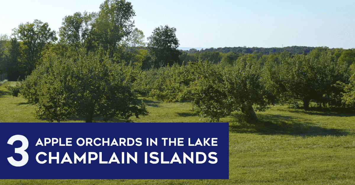 Best Apple Orchards in the Lake Champlain Islands | Coldwell Banker